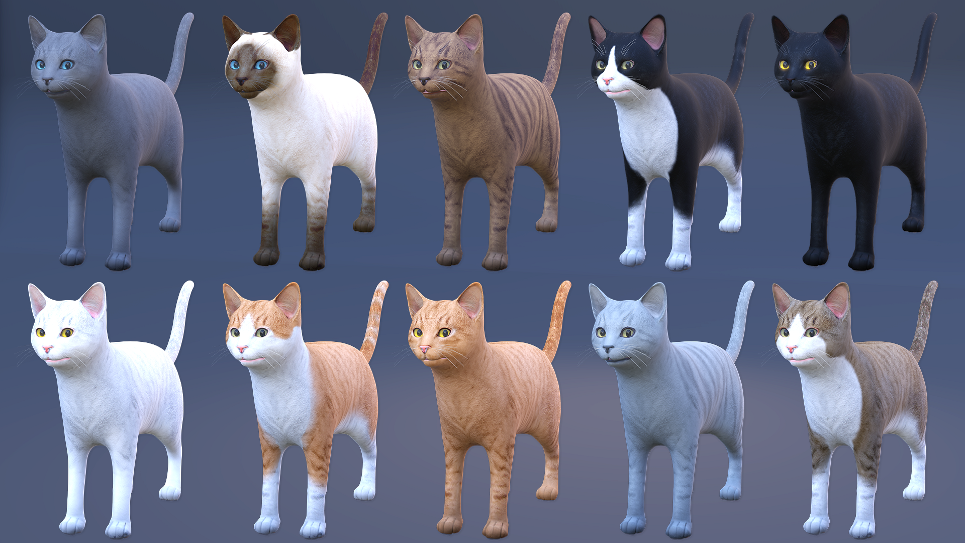 Cat_Mega_Pack