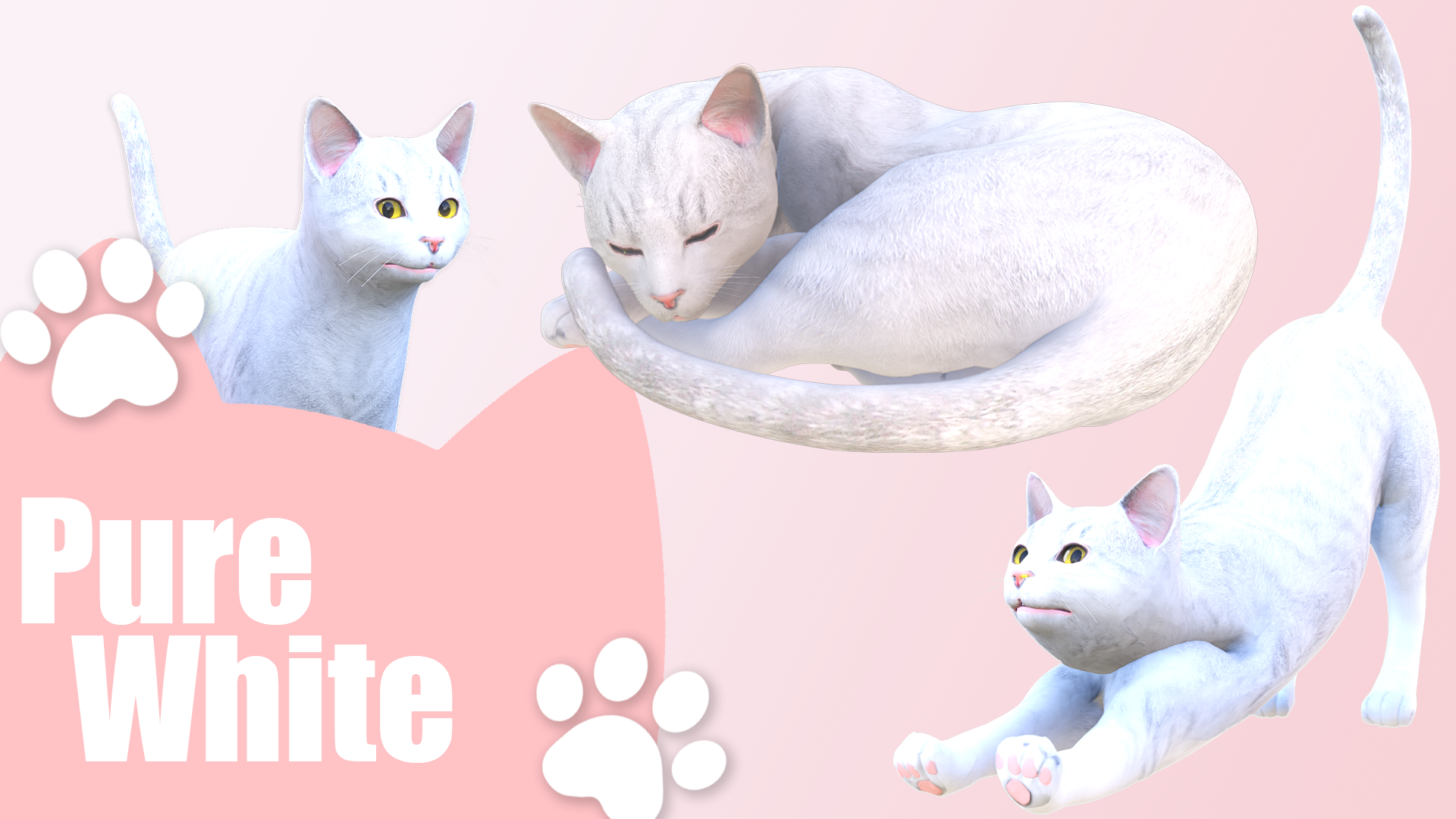 Cat_Mega_Pack