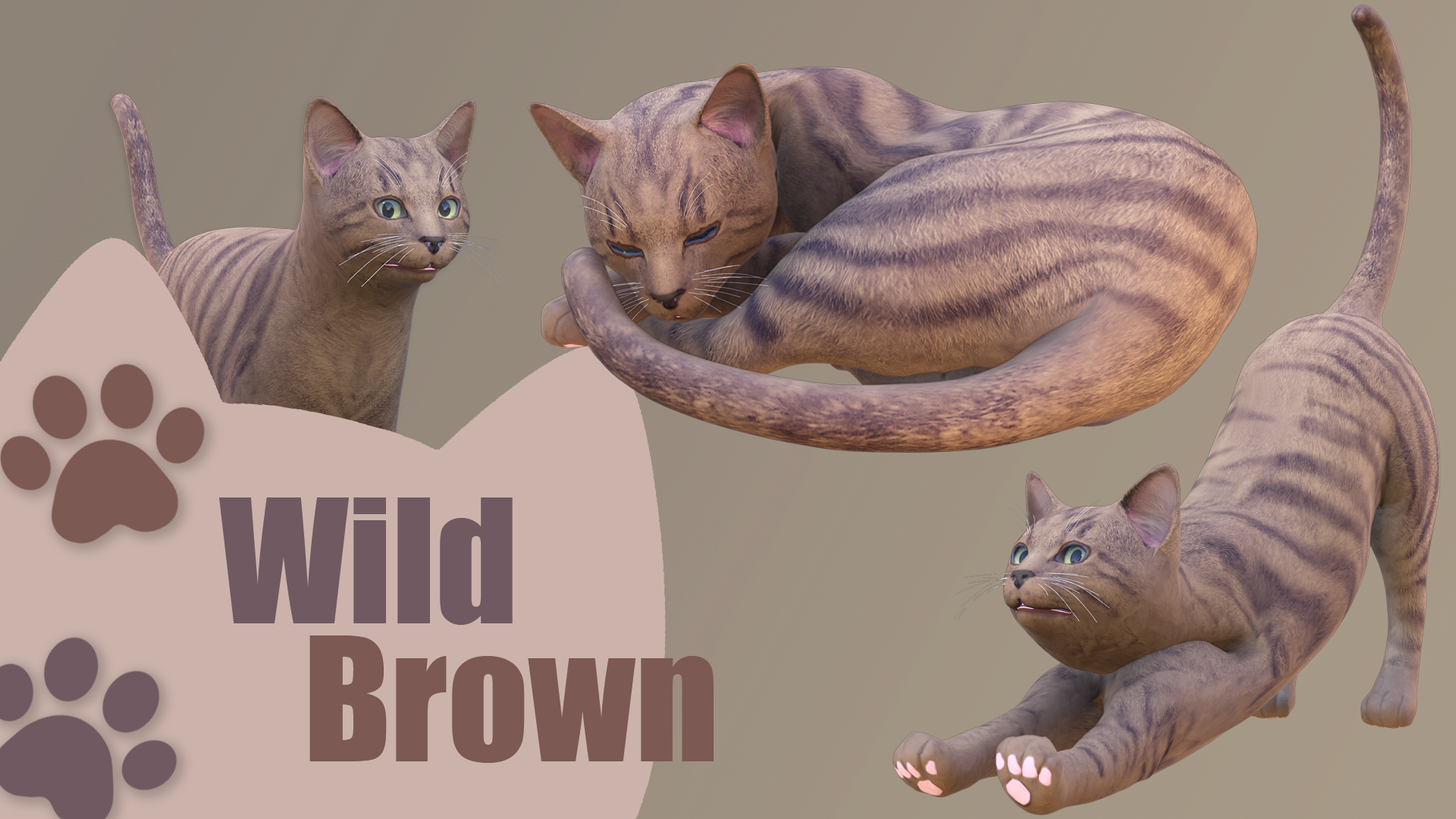 Cat_Mega_Pack
