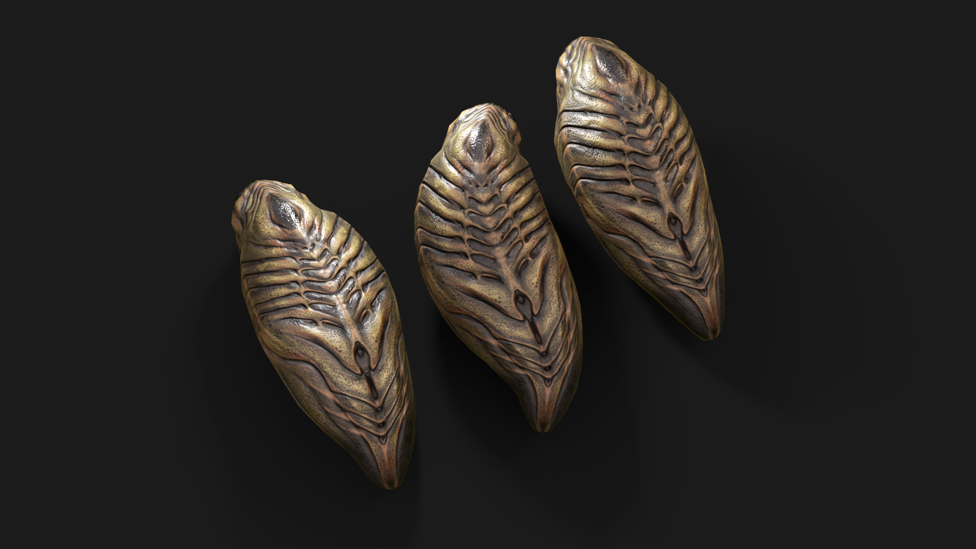 Fat Worms Collection