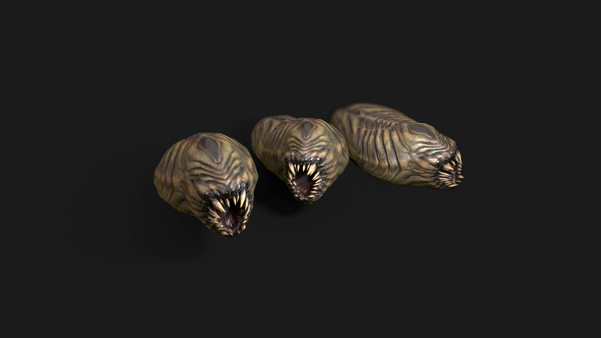 Fat Worms Collection