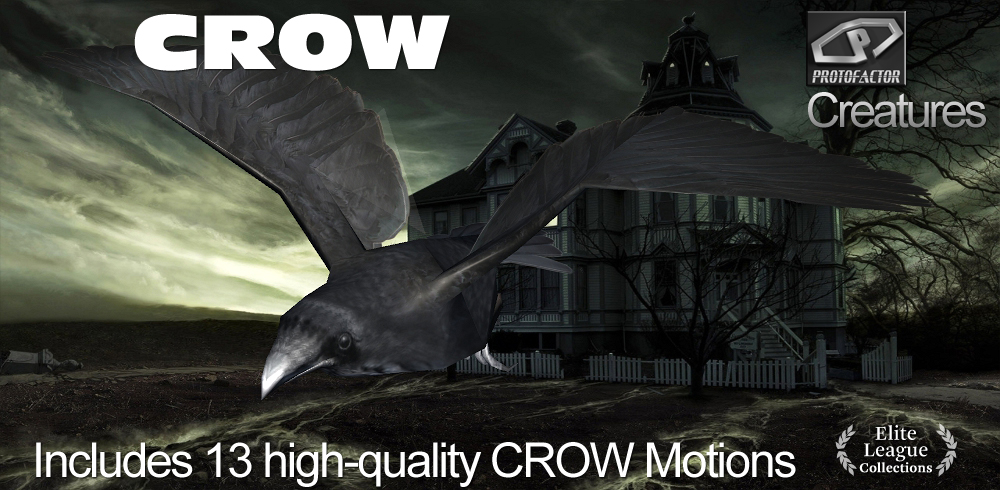 CROW Bird