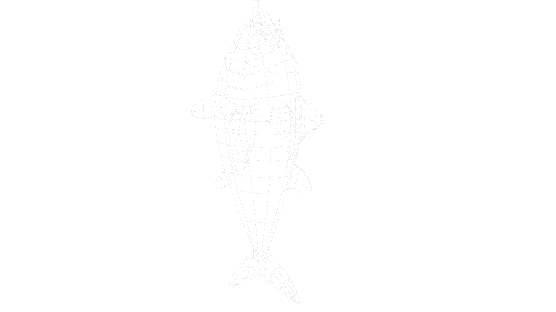 Fishing Rod
