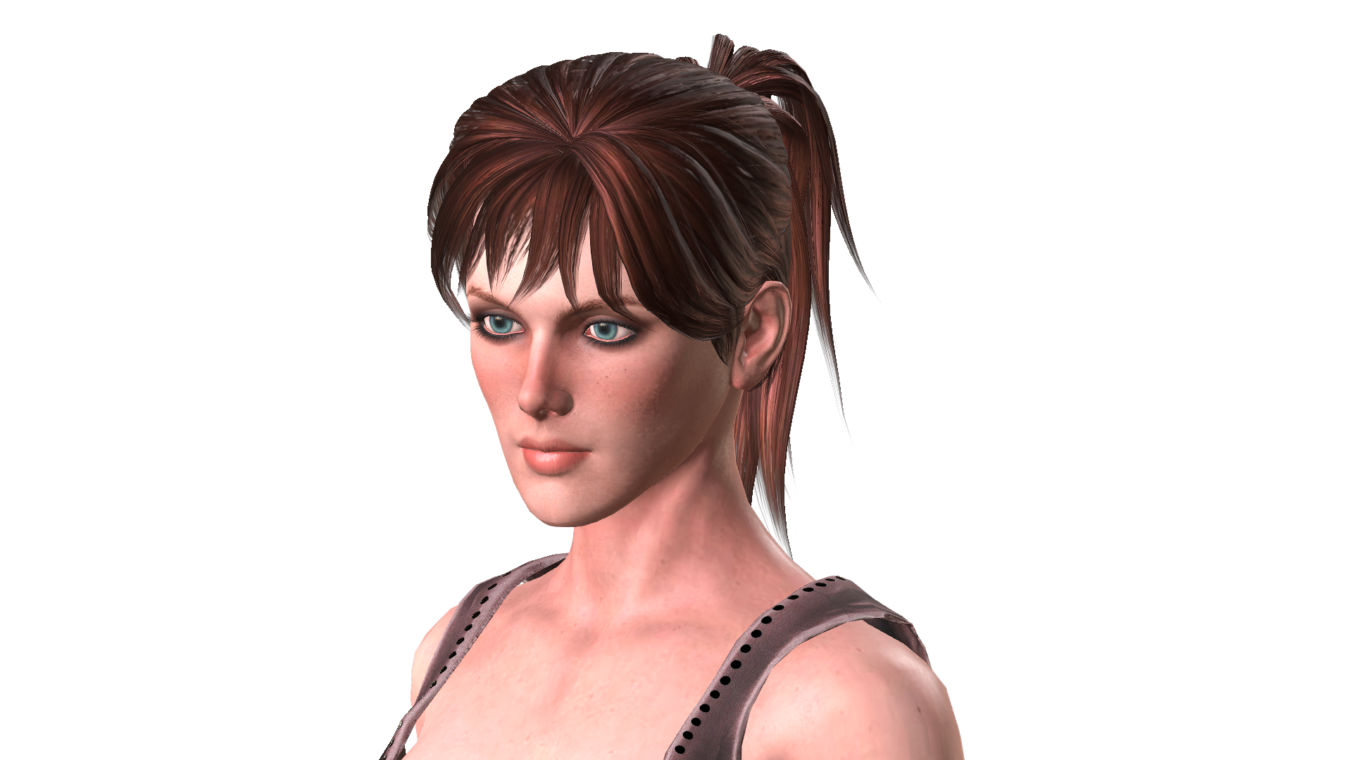Ponytail Hair Set