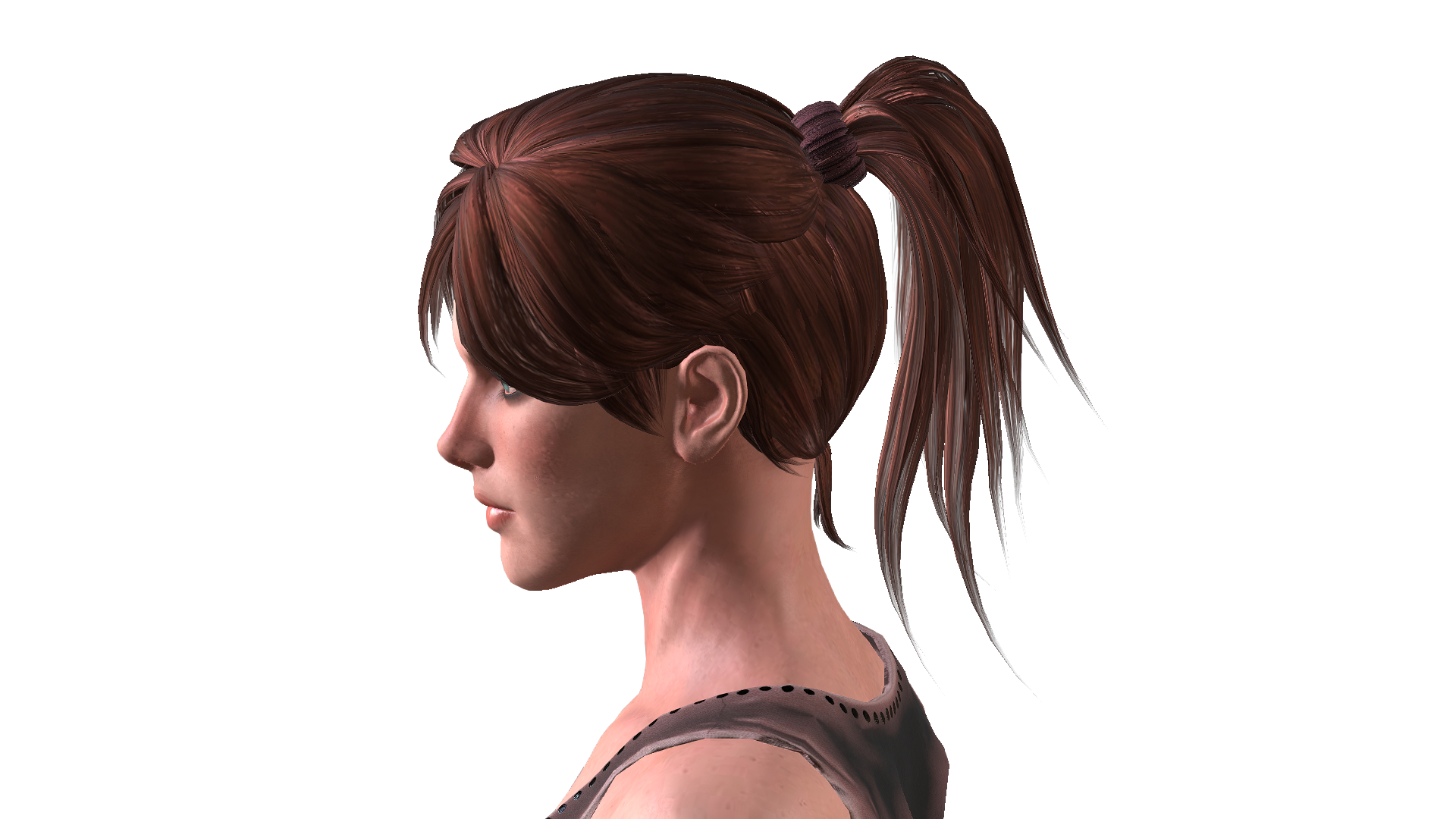 Ponytail Hair Set