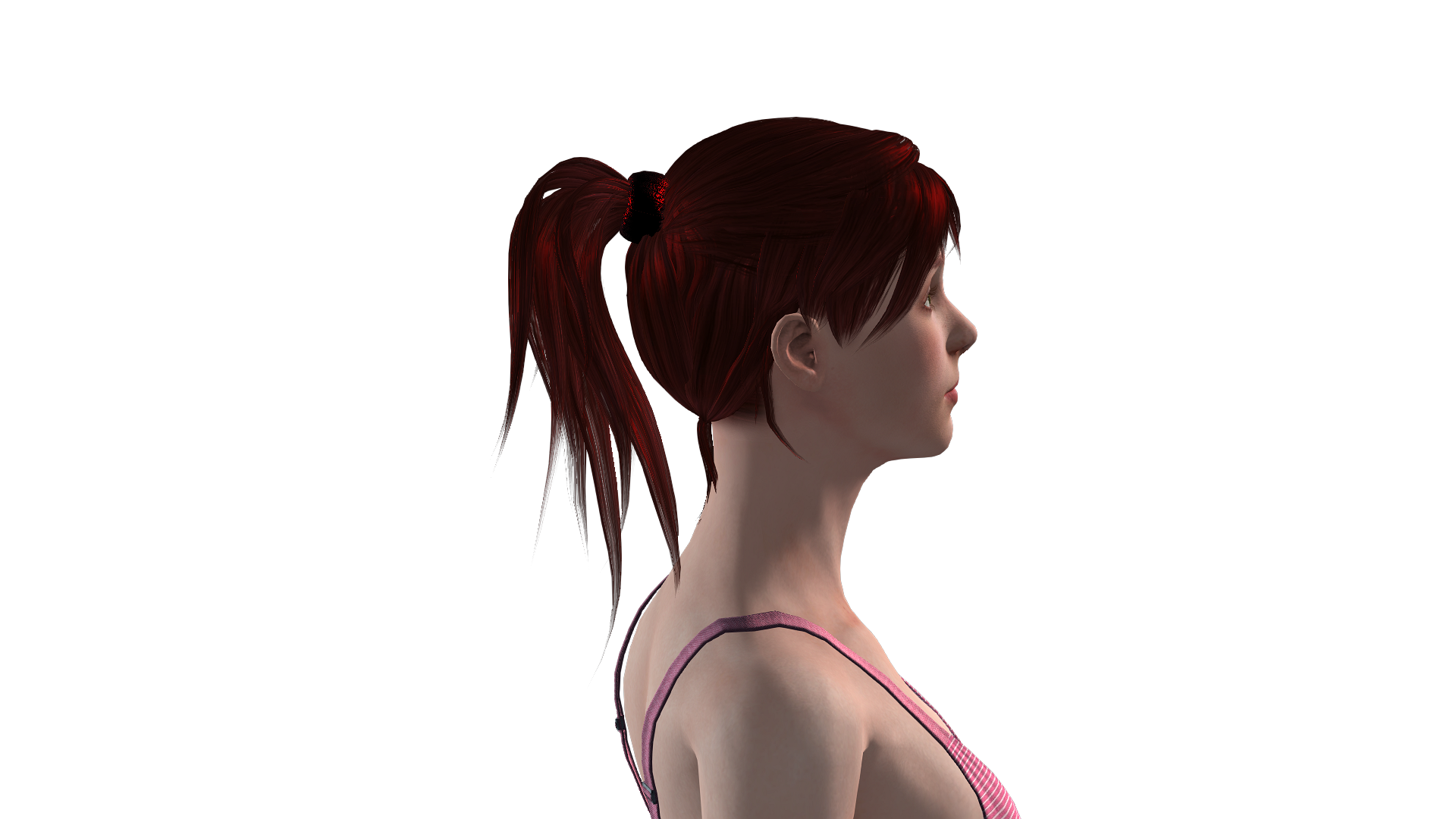 Ponytail Hair Set