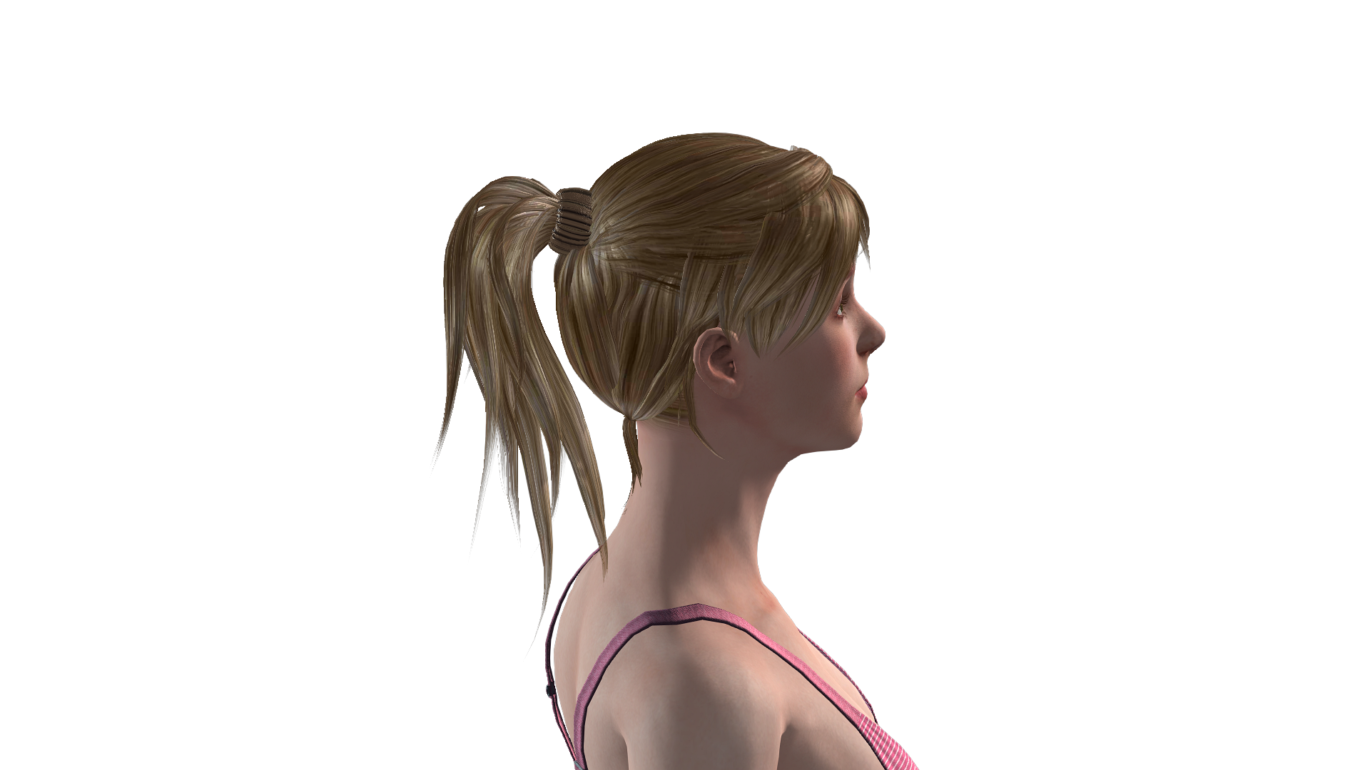 Ponytail Hair Set