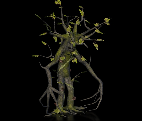 Oak Tree Entity Creature Monster