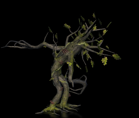 Oak Tree Entity Creature Monster