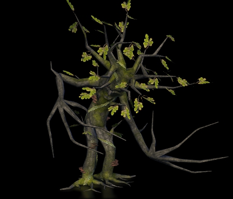 Oak Tree Entity Creature Monster