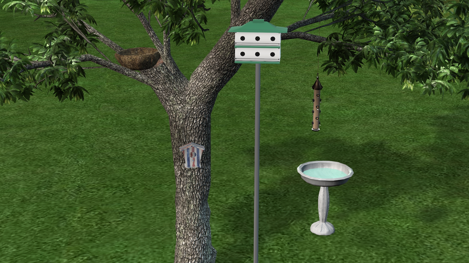 Bird Life Package