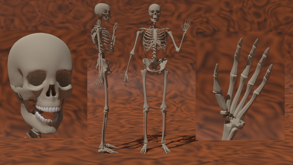 Skeleton_v3