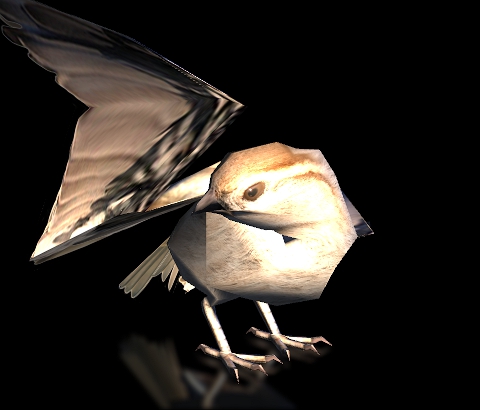SPARROW bird