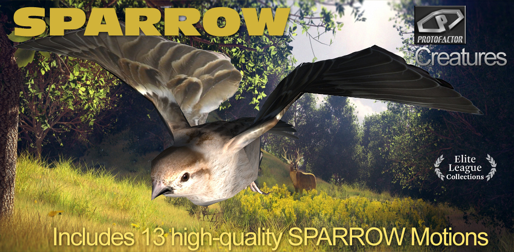SPARROW bird